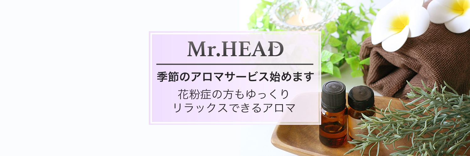 東京市ヶ谷にあるヘッドマッサージ専門店 Mr.HEAD ミスターヘッド